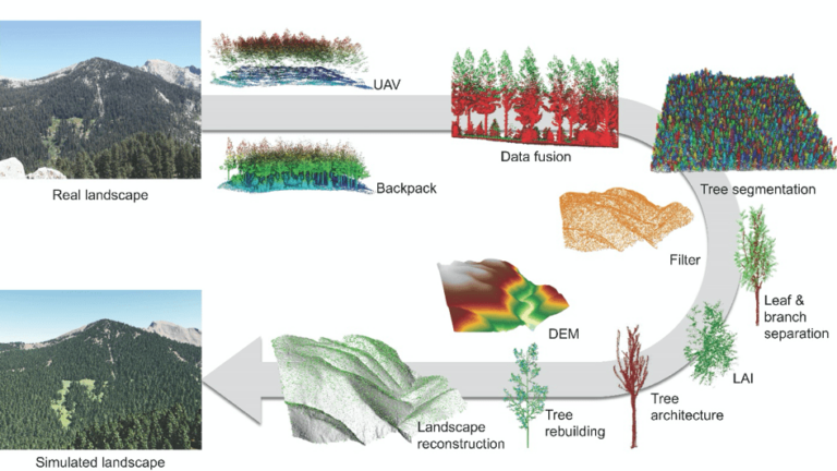 3D Forest Structure: Parameter Extraction & Upscaling – Be Happy！Be Productive！